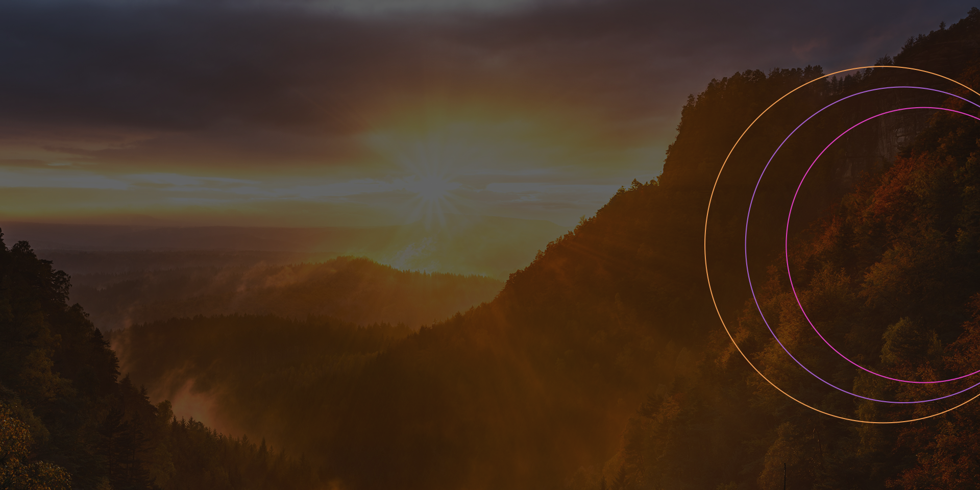 Is 2025 going to be the year of Portfolio Transformation? - Definia